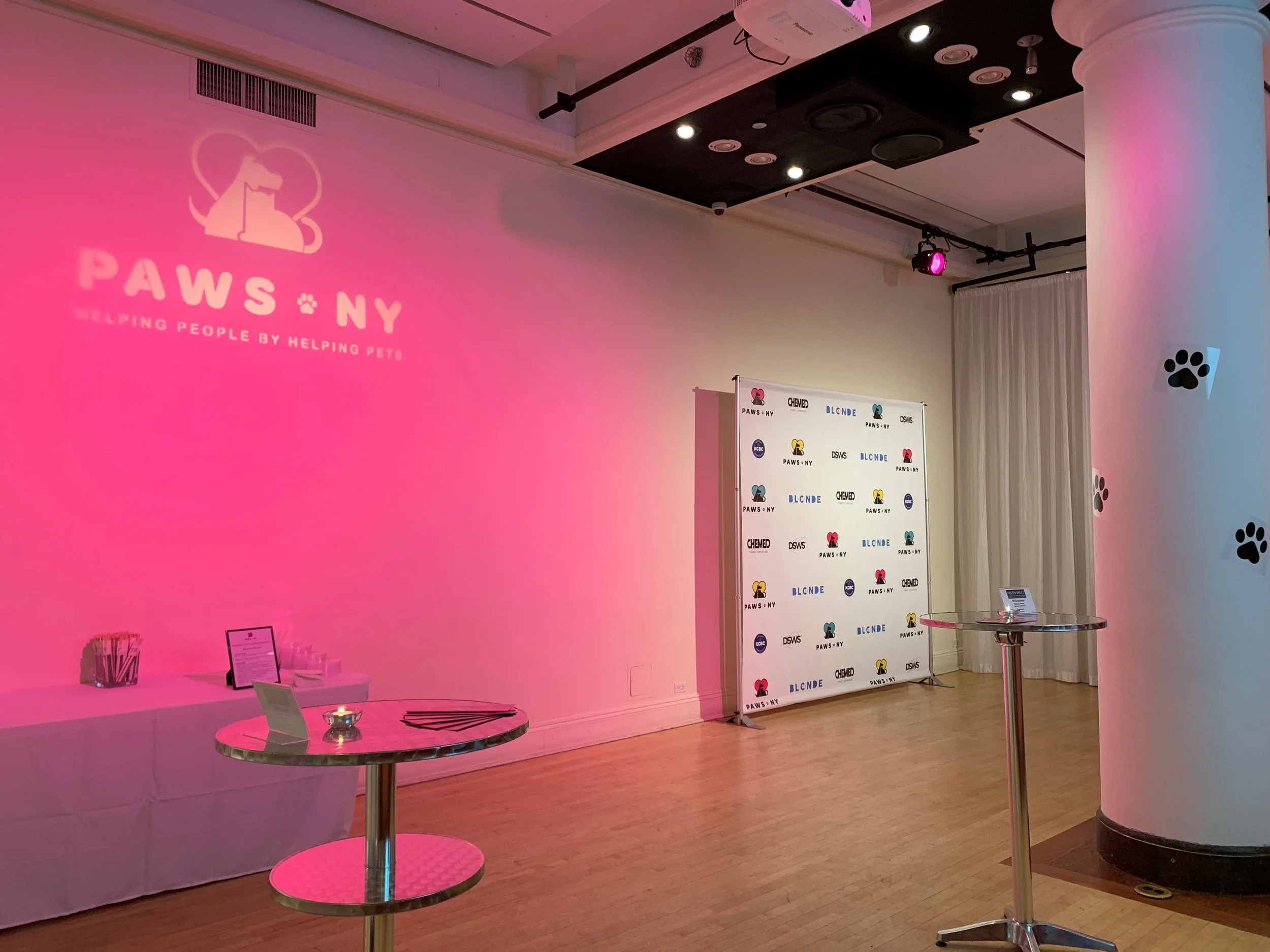 A Memorable PAW-tnership: HELEN MILLS hosts PAWS NY Annual Benefit ...