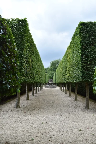 "How many kinds of sweet flowers grow, in an English country garden ...