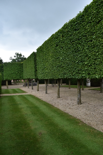 "How many kinds of sweet flowers grow, in an English country garden ...