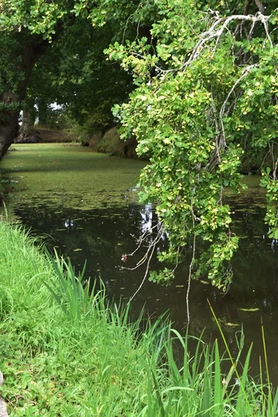 A visit to Sissinghurst Castle — Angela Bunt Creative