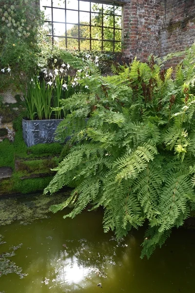 A visit to Sissinghurst Castle — Angela Bunt Creative