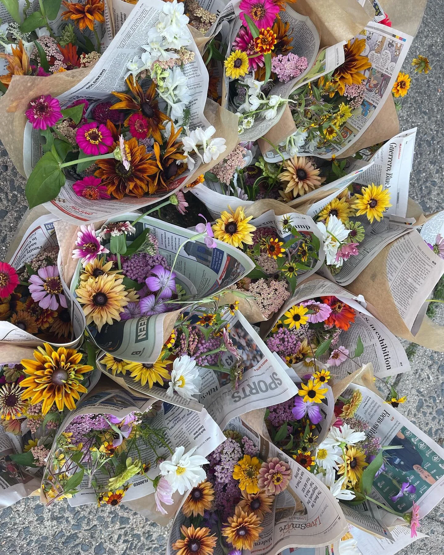 FLOWER SCOUT