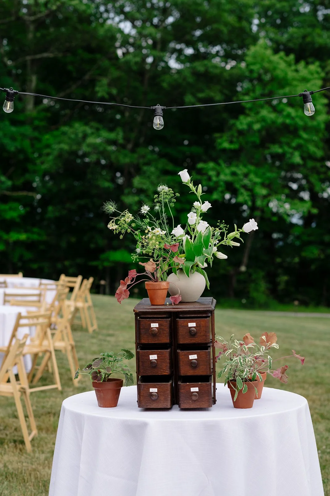 portfolio — FLOWER SCOUT