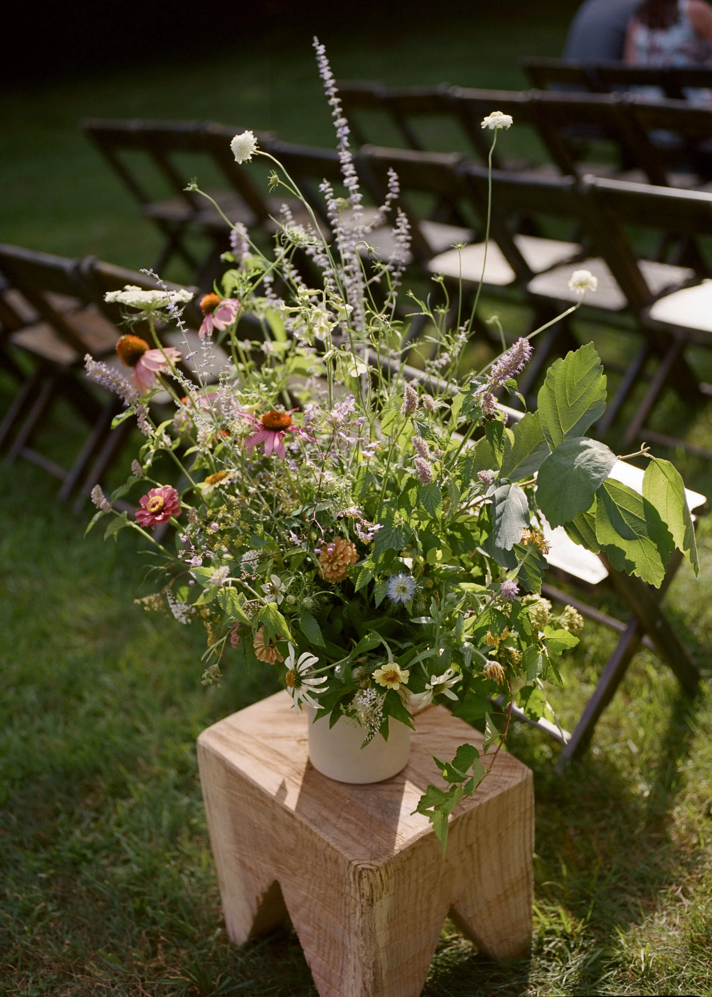 portfolio — FLOWER SCOUT