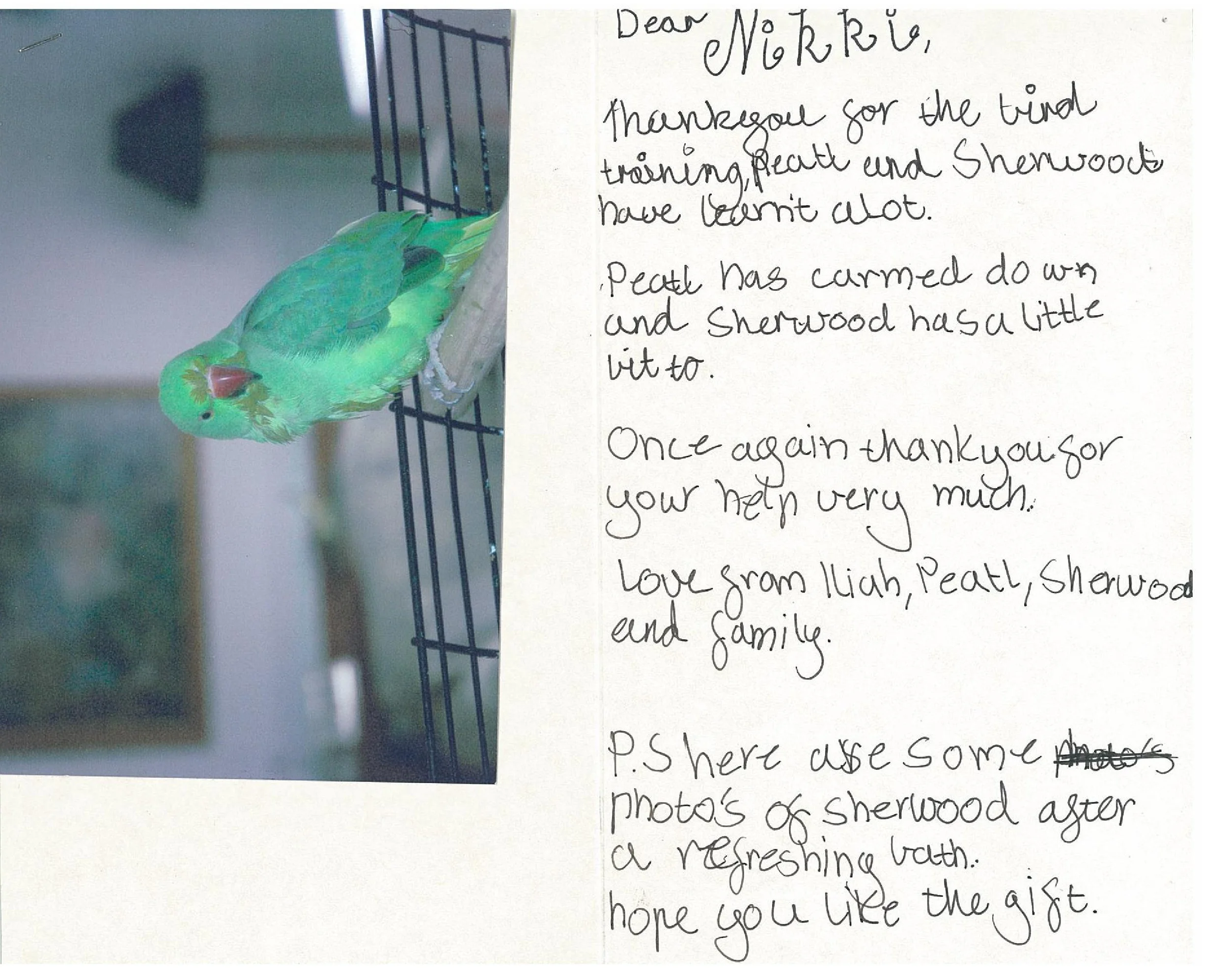 Testimonials — Bird Boarding