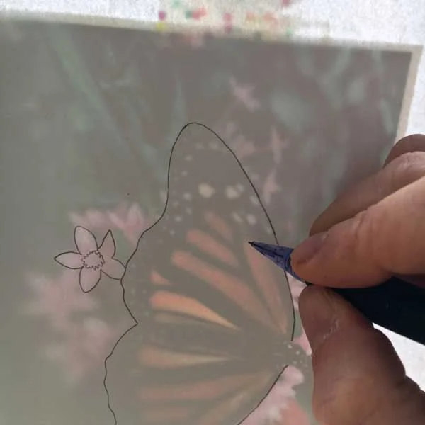 HOW TO DRAW AND PAINT A BUTTERFLY: STEP BY STEP — Pam Ash Designs