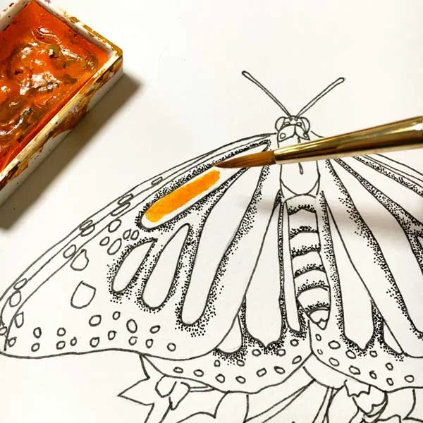HOW TO DRAW AND PAINT A BUTTERFLY: STEP BY STEP — Pam Ash Designs