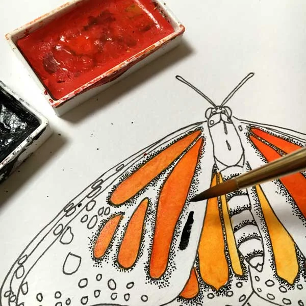 HOW TO DRAW AND PAINT A BUTTERFLY: STEP BY STEP — Pam Ash Designs