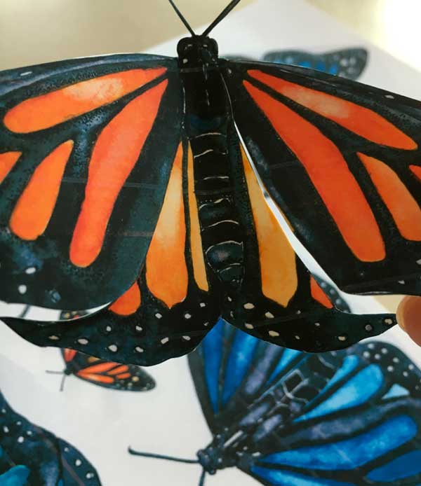 BUTTERFLY: PART TWO — Pam Ash Designs
