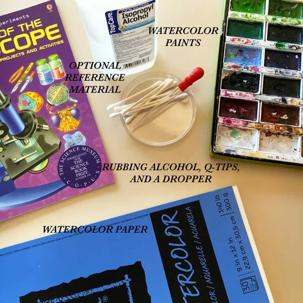 WATERCOLOR SPECIAL EFFECTS: ALCOHOL AND WATERCOLOR — Pam Ash Designs