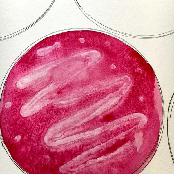 WATERCOLOR SPECIAL EFFECTS: ALCOHOL AND WATERCOLOR — Pam Ash Designs