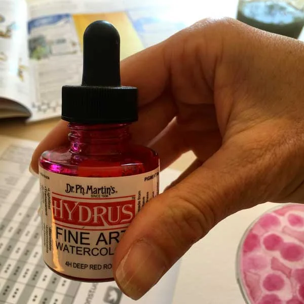 WATERCOLOR SPECIAL EFFECTS: ALCOHOL AND WATERCOLOR — Pam Ash Designs