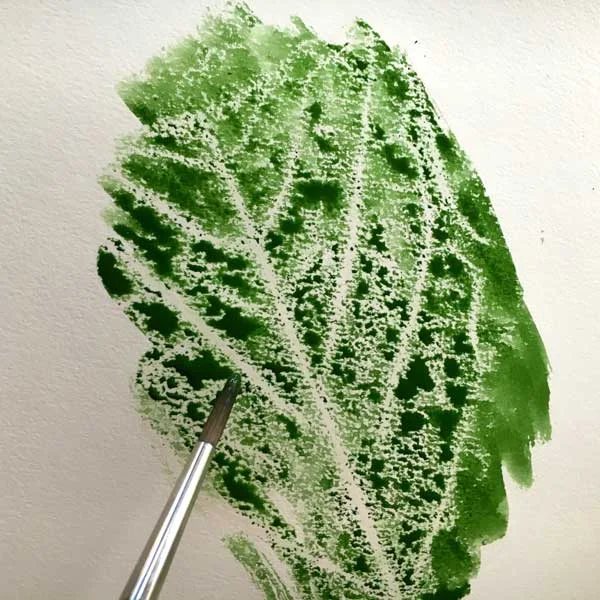 WATERCOLOR SPECIAL EFFECTS: WAX RESIST — Pam Ash Designs