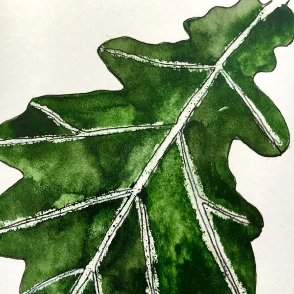 WAYS TO PAINT WHITE IN WATERCOLOR — Pam Ash Designs