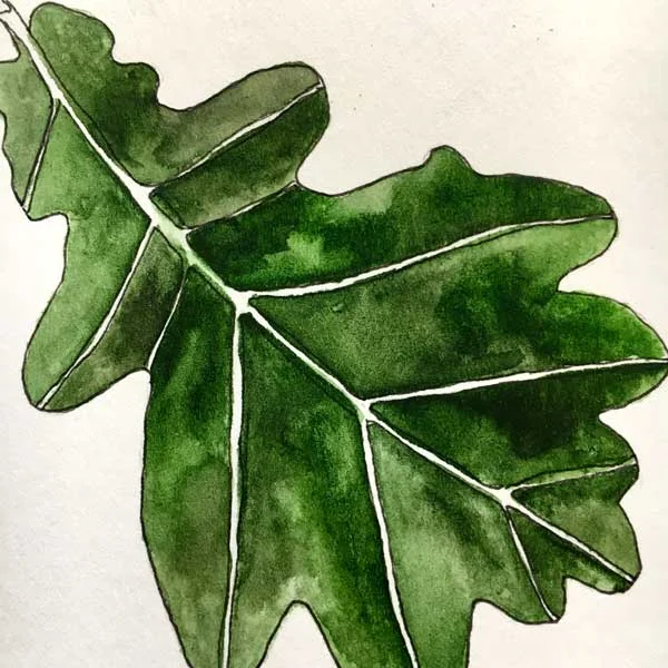 WAYS TO PAINT WHITE IN WATERCOLOR — Pam Ash Designs