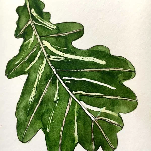 WAYS TO PAINT WHITE IN WATERCOLOR — Pam Ash Designs