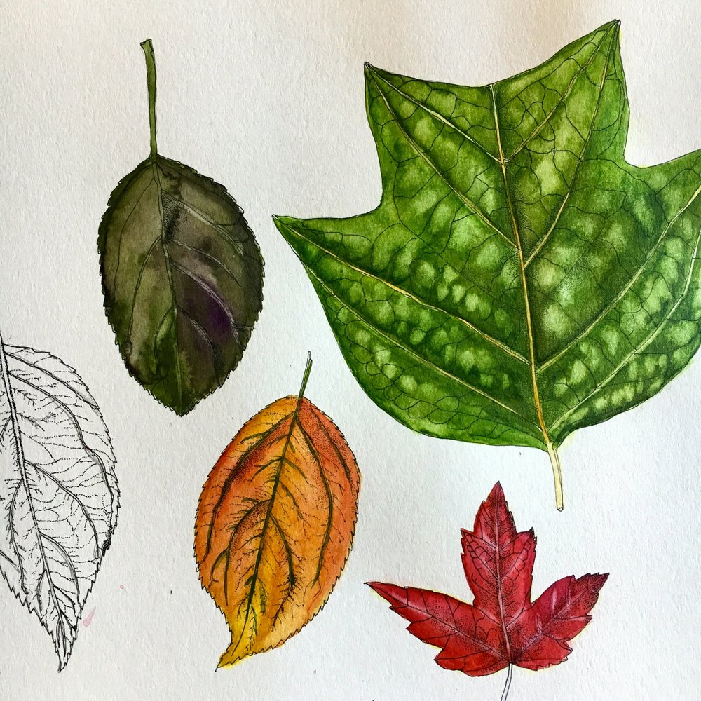 SIX WAYS TO USE NATURE AS YOUR INSPIRATION: LET NATURE BE YOUR MUSE ...