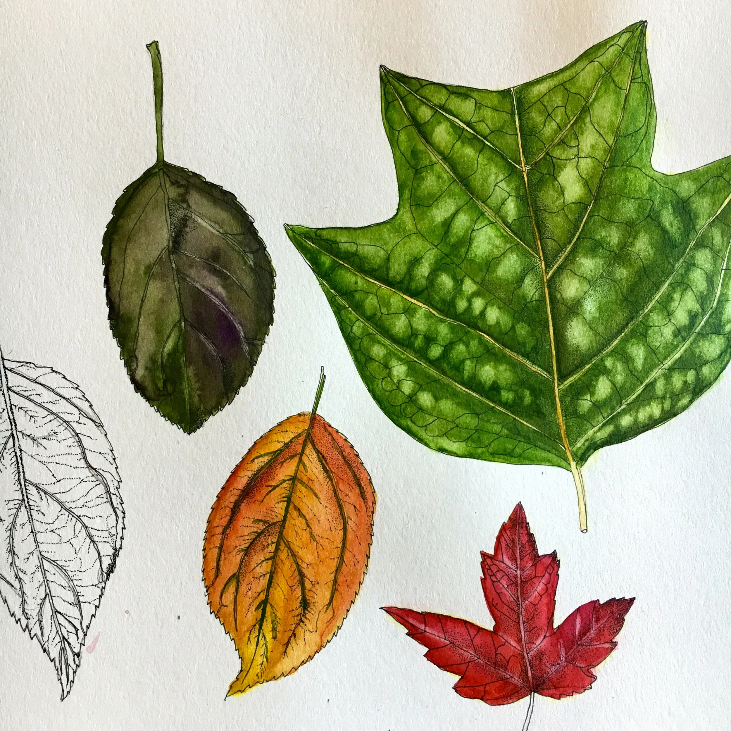 SIX WAYS TO USE NATURE AS YOUR INSPIRATION: LET NATURE BE YOUR MUSE ...