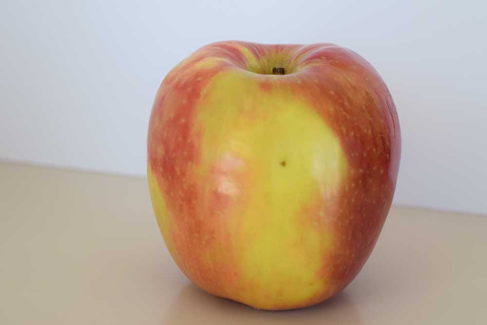 USING STIPPLING TO CREATE VALUE — Pam Ash Designs