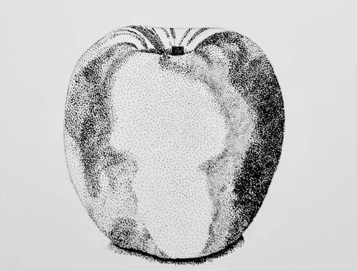 USING STIPPLING TO CREATE VALUE — Pam Ash Designs