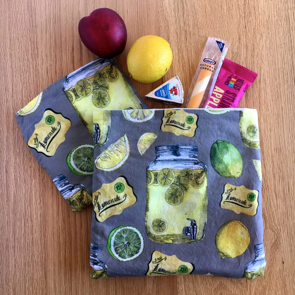 HOW TO MAKE AN INSULATED SNACK BAG — Pam Ash Designs