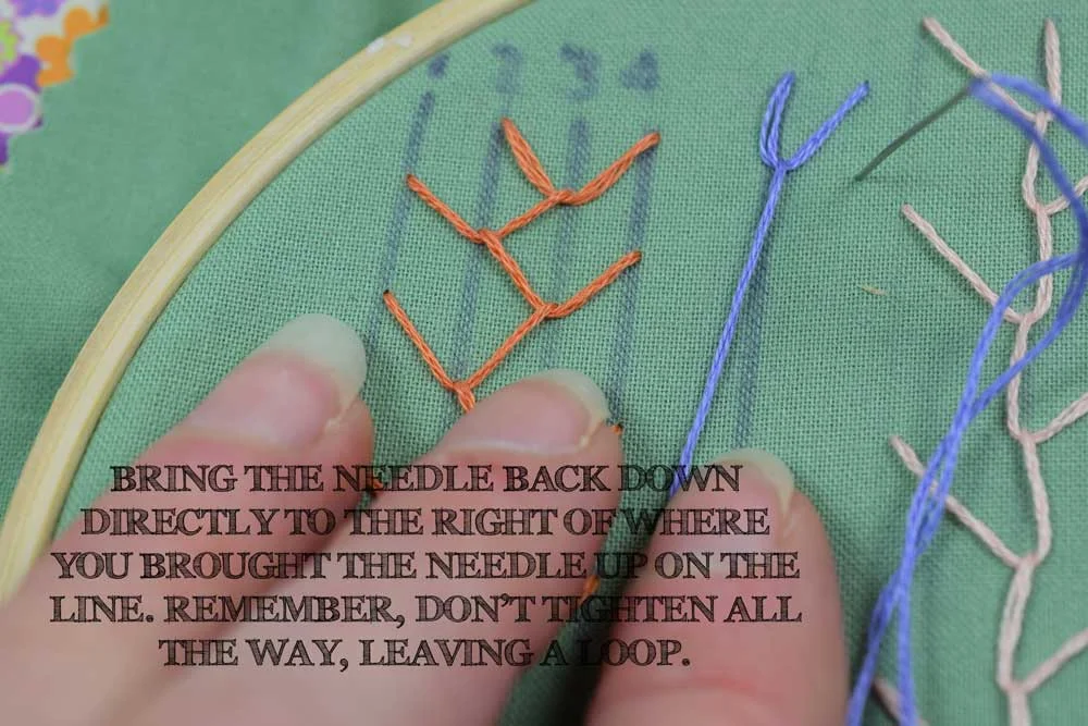 HOW TO MAKE THE FEATHER STITCH | VARIATIONS AND EMBELLISHMENTS — Pam ...