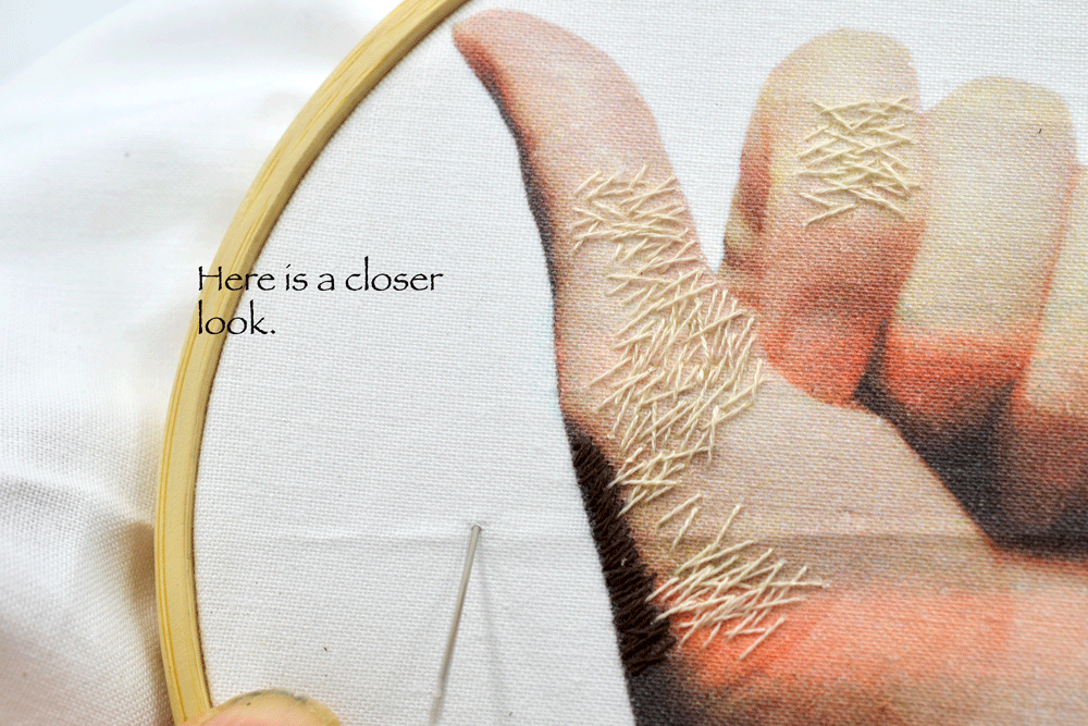 EMBROIDERY ON TOP OF A PHOTO PRINTED ON FABRIC — Pam Ash Designs