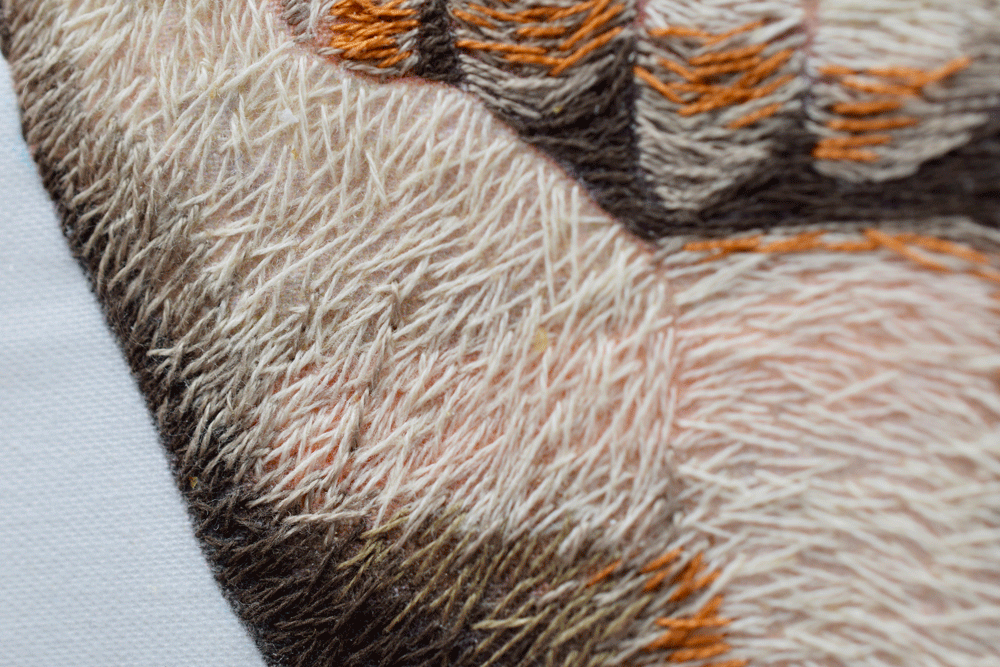 EMBROIDERY ON TOP OF A PHOTO PRINTED ON FABRIC — Pam Ash Designs