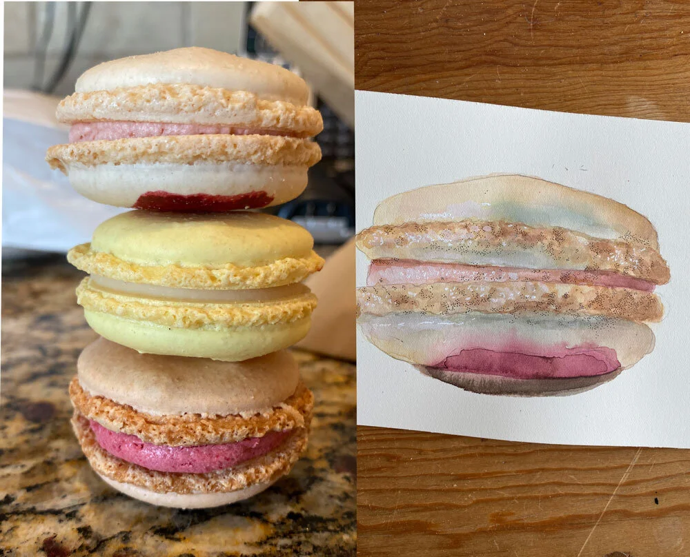 WHAT'S UP? — Pam Ash Designs