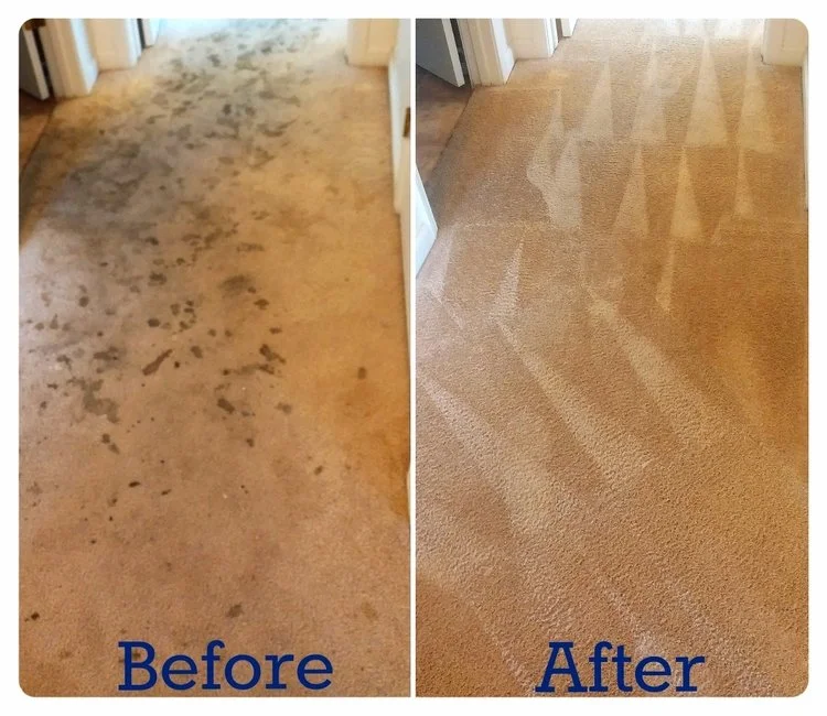 Reno Carpet Cleaning | 3 Areas $140 | Truckmount