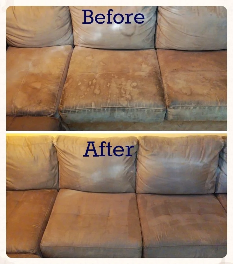 Reno Carpet Cleaner | 3 Areas $140 | 5 Star RATED