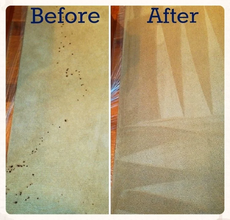 Reno Carpet Cleaning | 3 Areas $140 | Truckmount