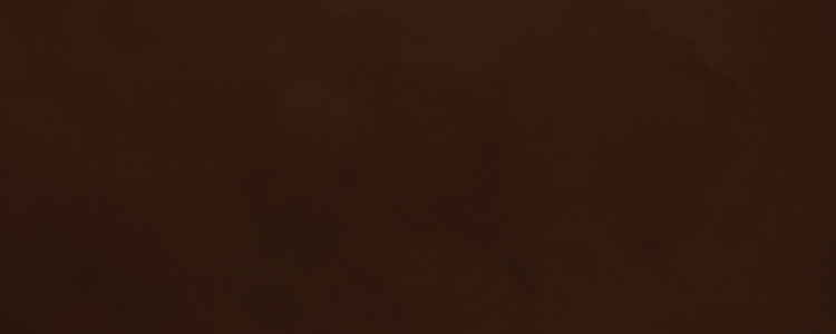 Gauntlett Law | Intellectual Property Insurance Coverage Attorneys