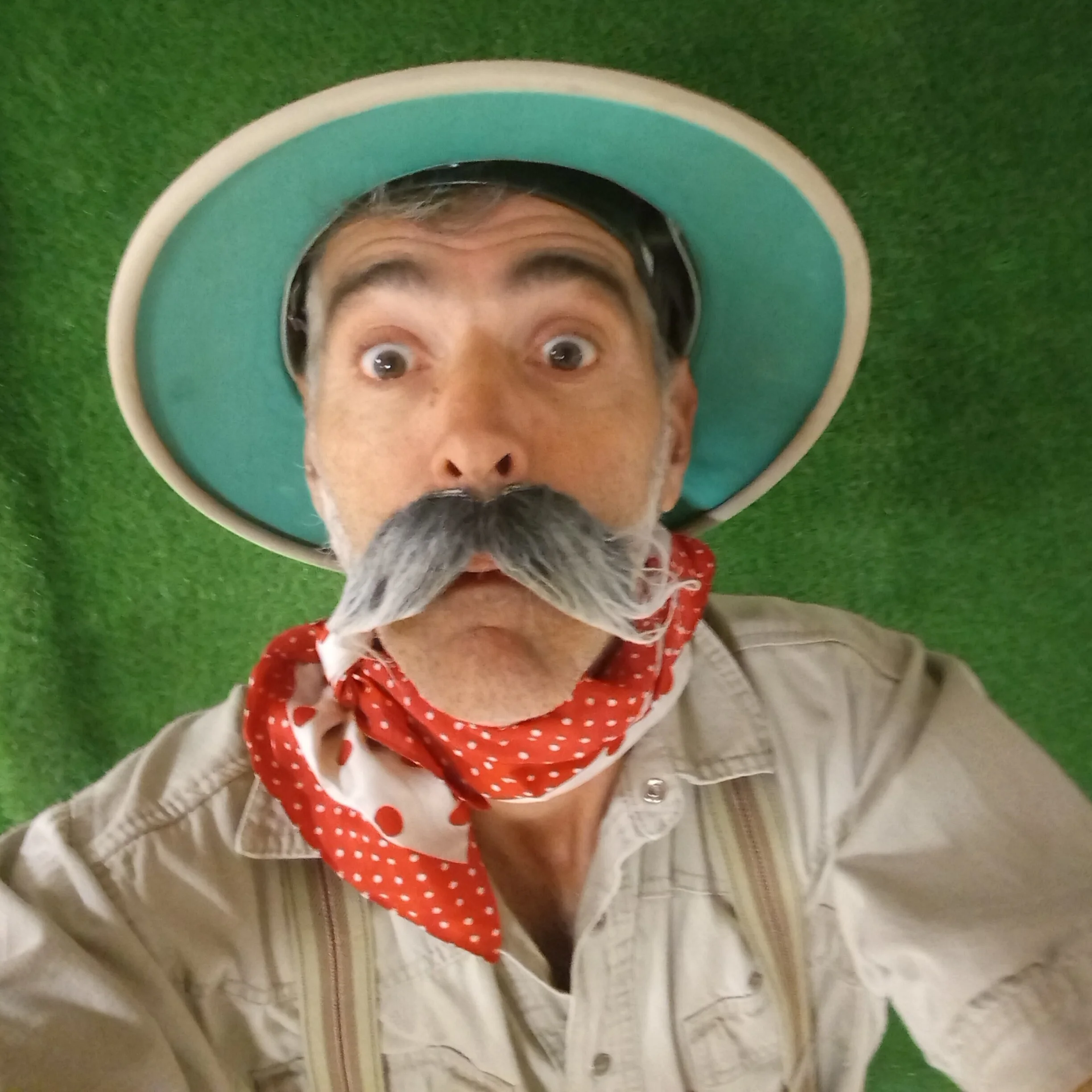 About — Walkley Community Centre