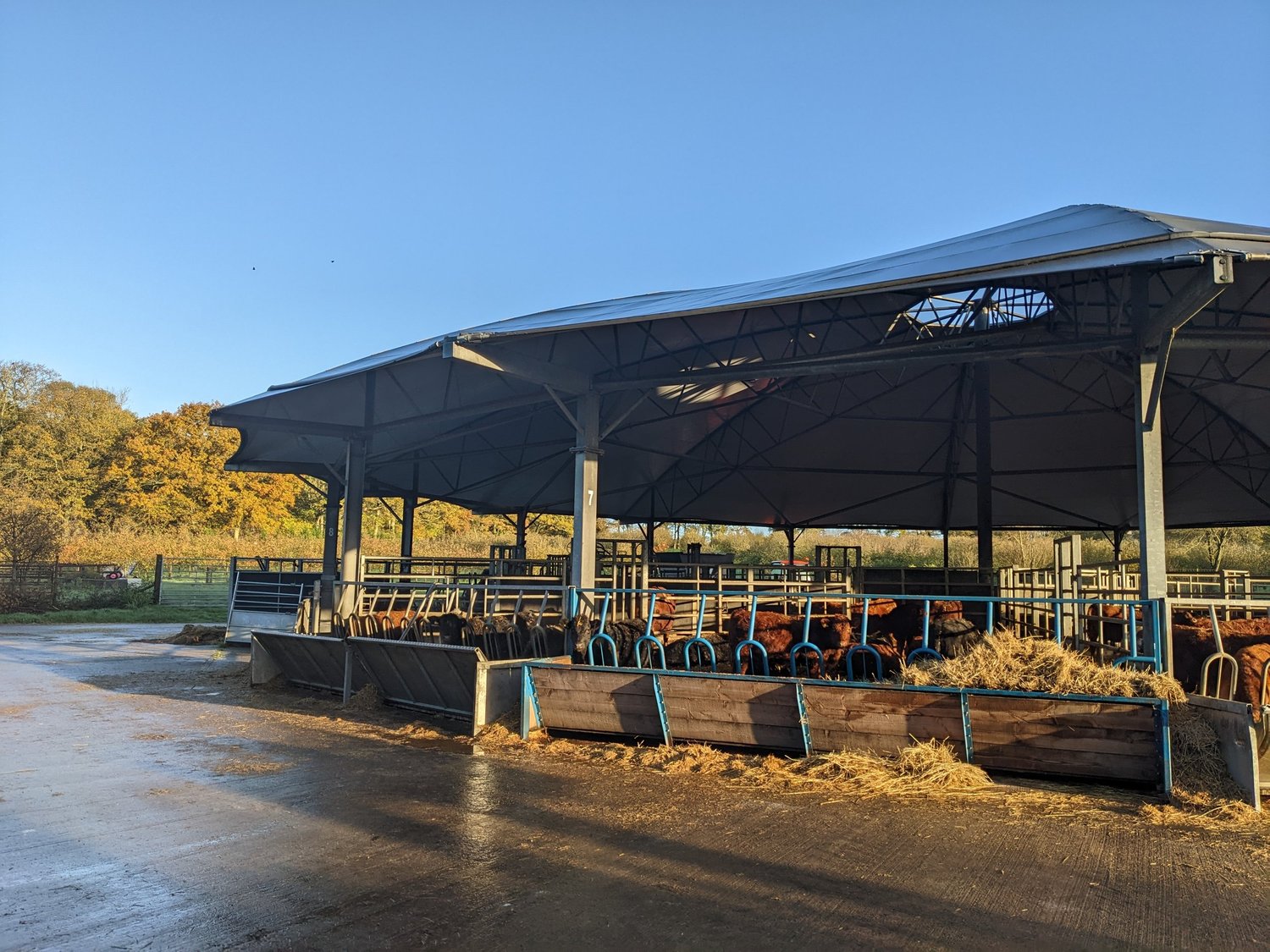 About Trenchmore Farm — Trenchmore Farm