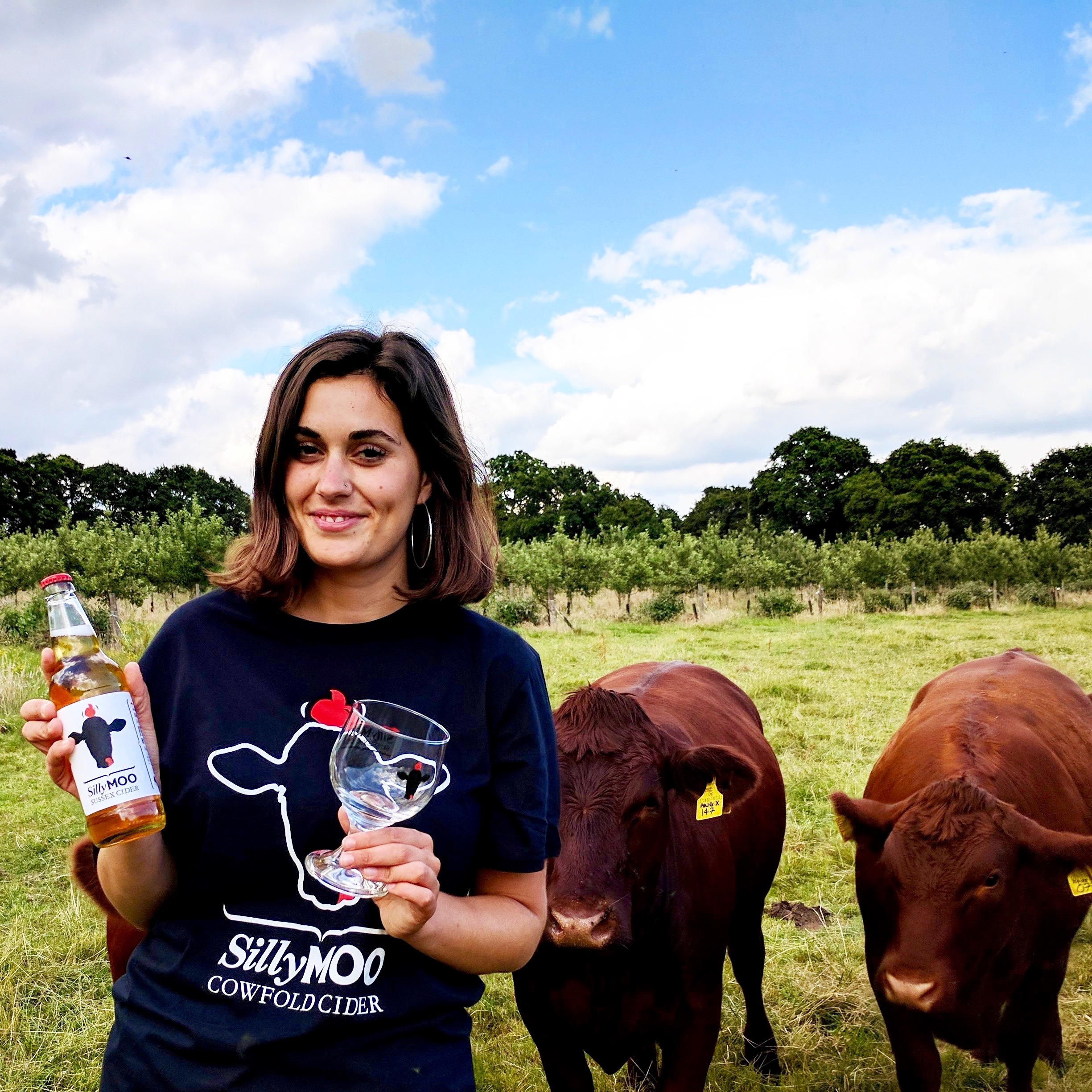 Gallery — Trenchmore Farm