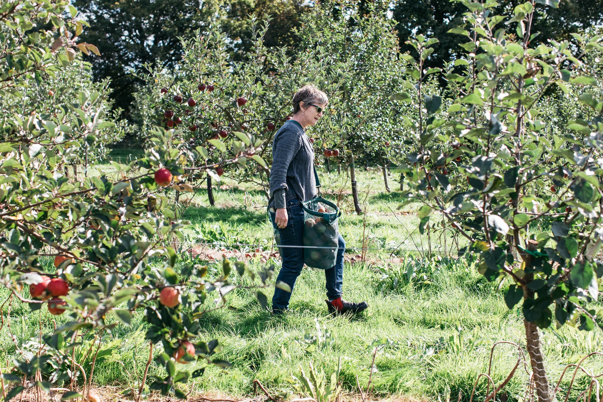 About — Trenchmore Farm