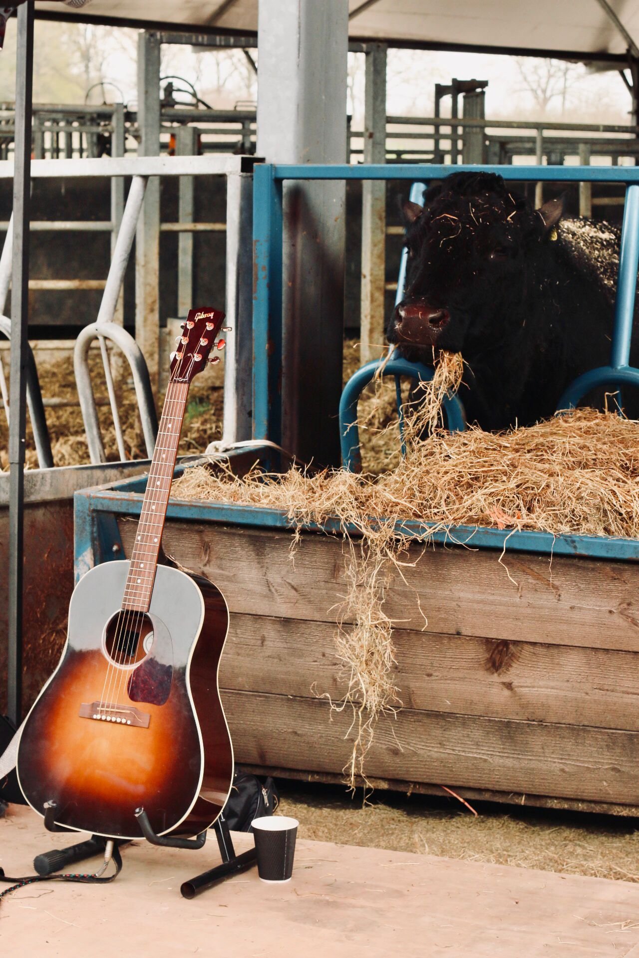 Events — Trenchmore Farm