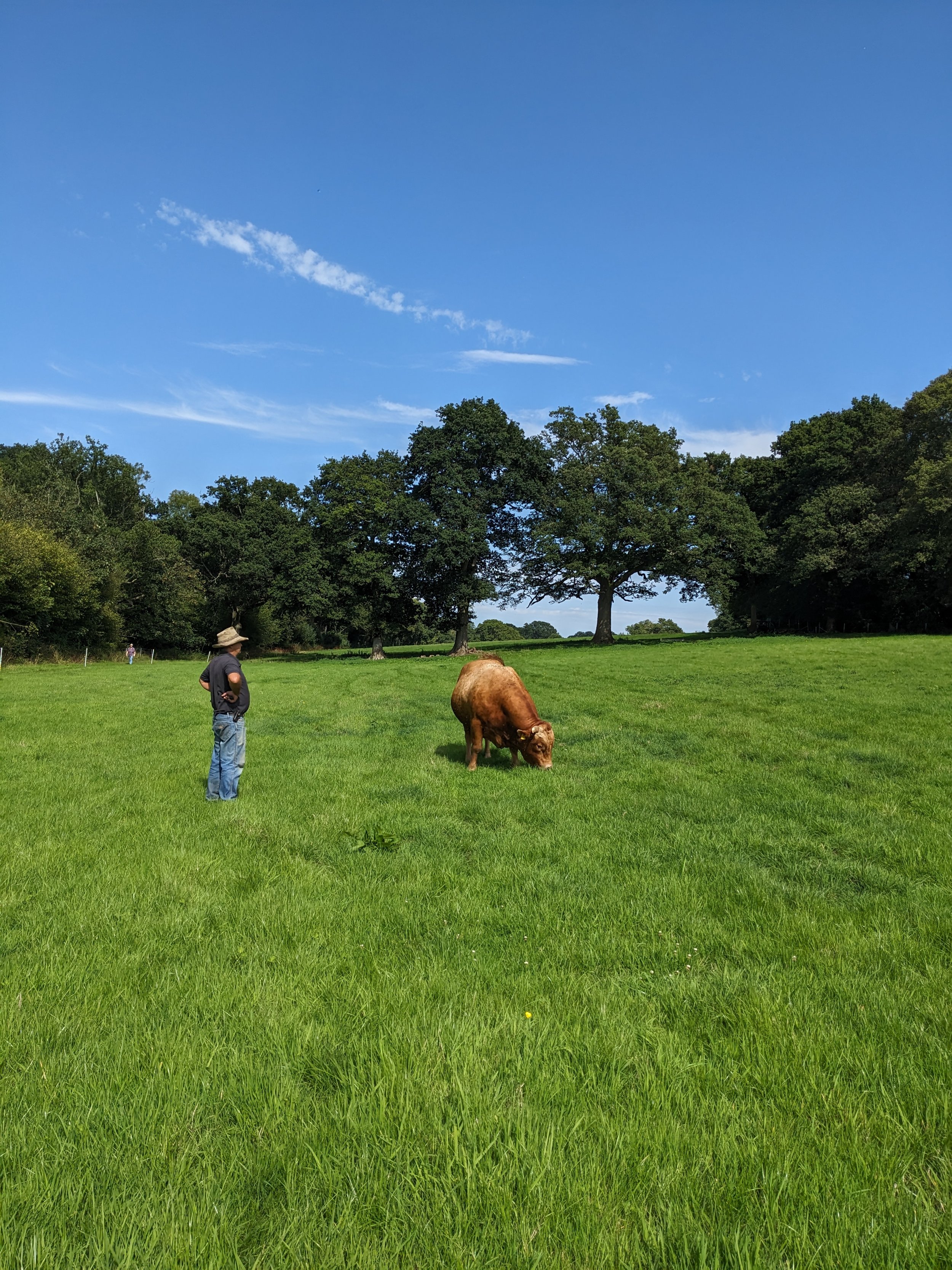 Markets, supper clubs & events — Trenchmore Farm