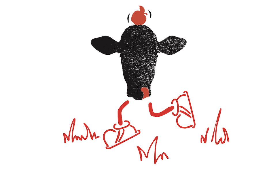 Regenerative farm producing Sussex Wagyu beef & Silly Moo Cider ...