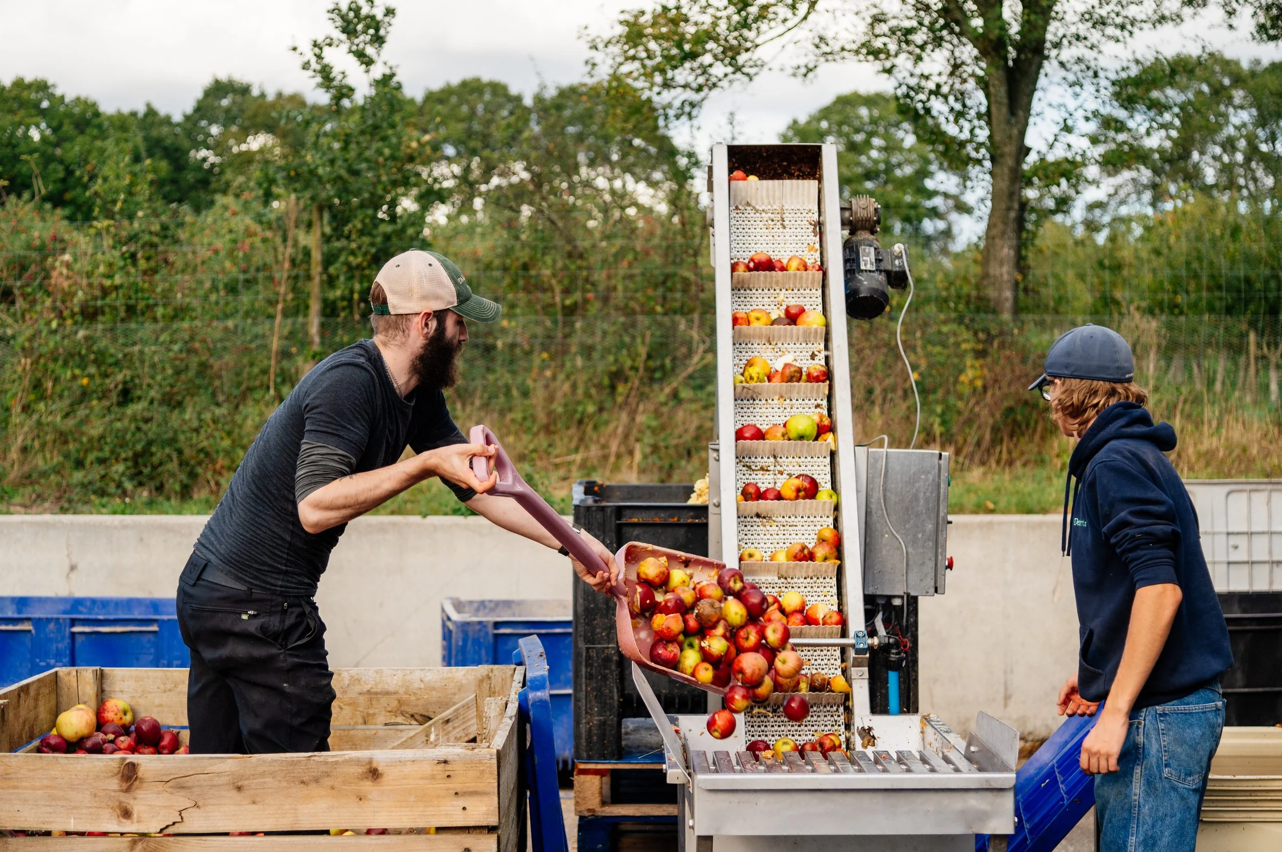 Gallery — Trenchmore Farm