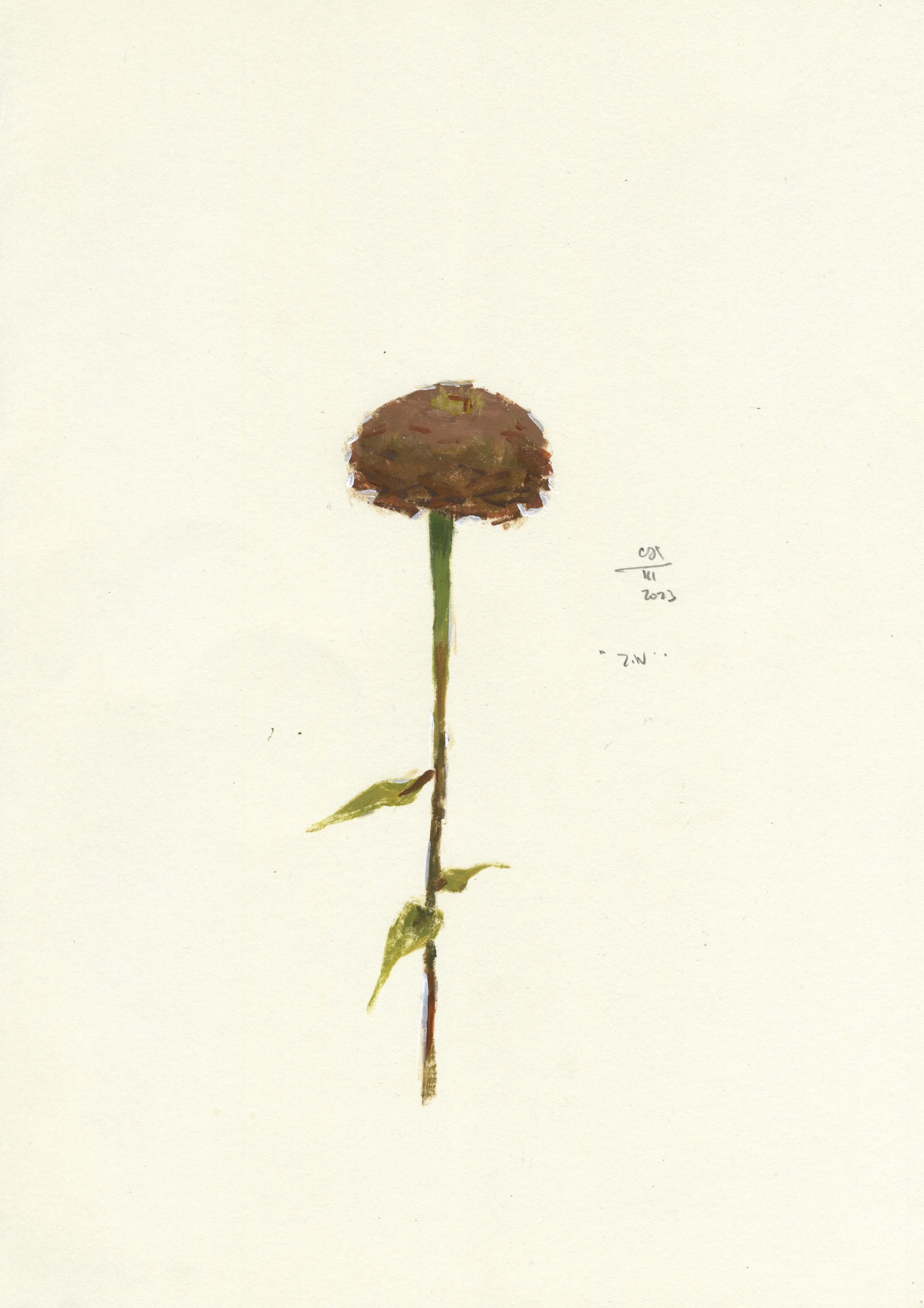 Prints + Littles — C.A.S Painter