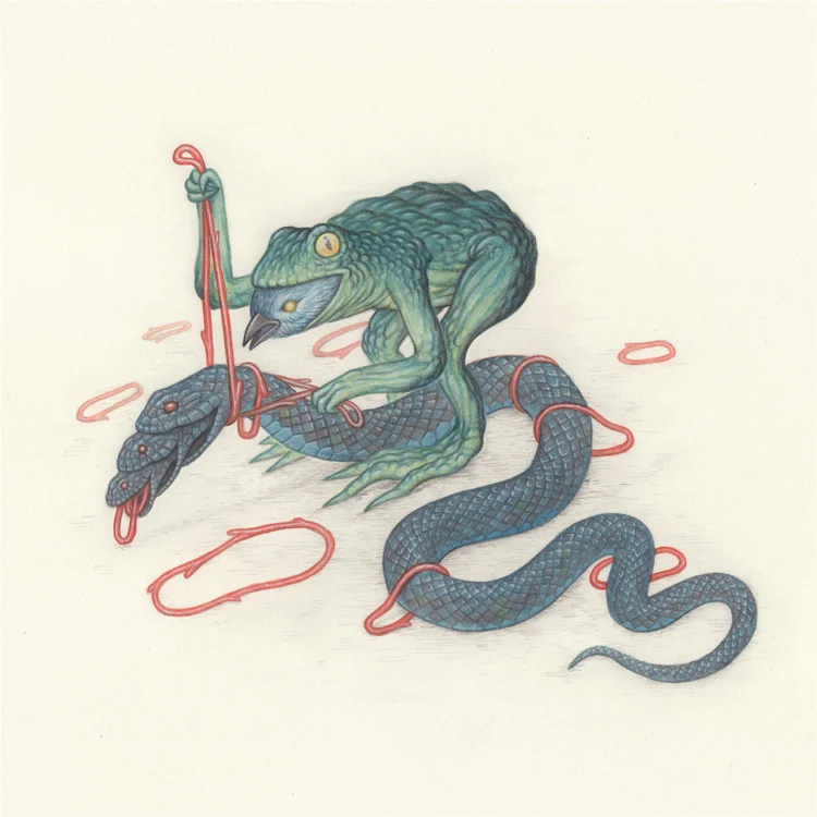 Frog Bird Snake — Nick Sheehy / Showchicken