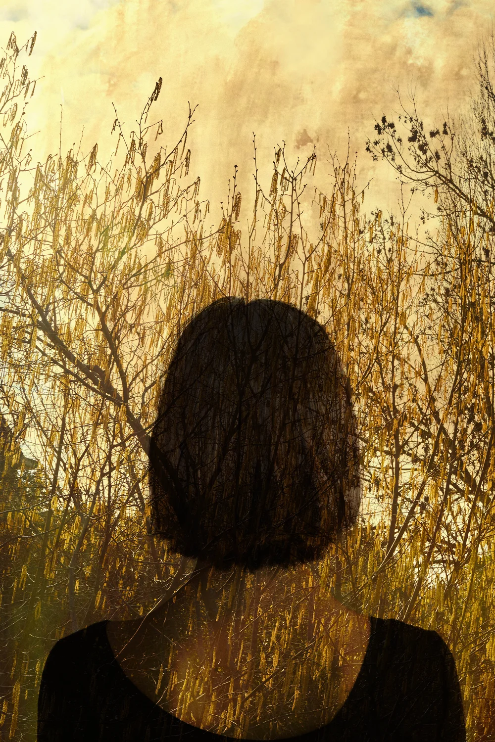 My Name Is Maya — Manon Ouimet