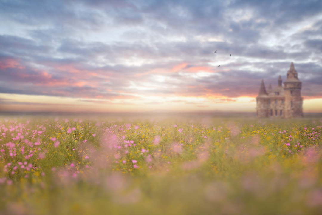 KCC Spring Digital Background/Backdrop — KCC Photoshop Actions