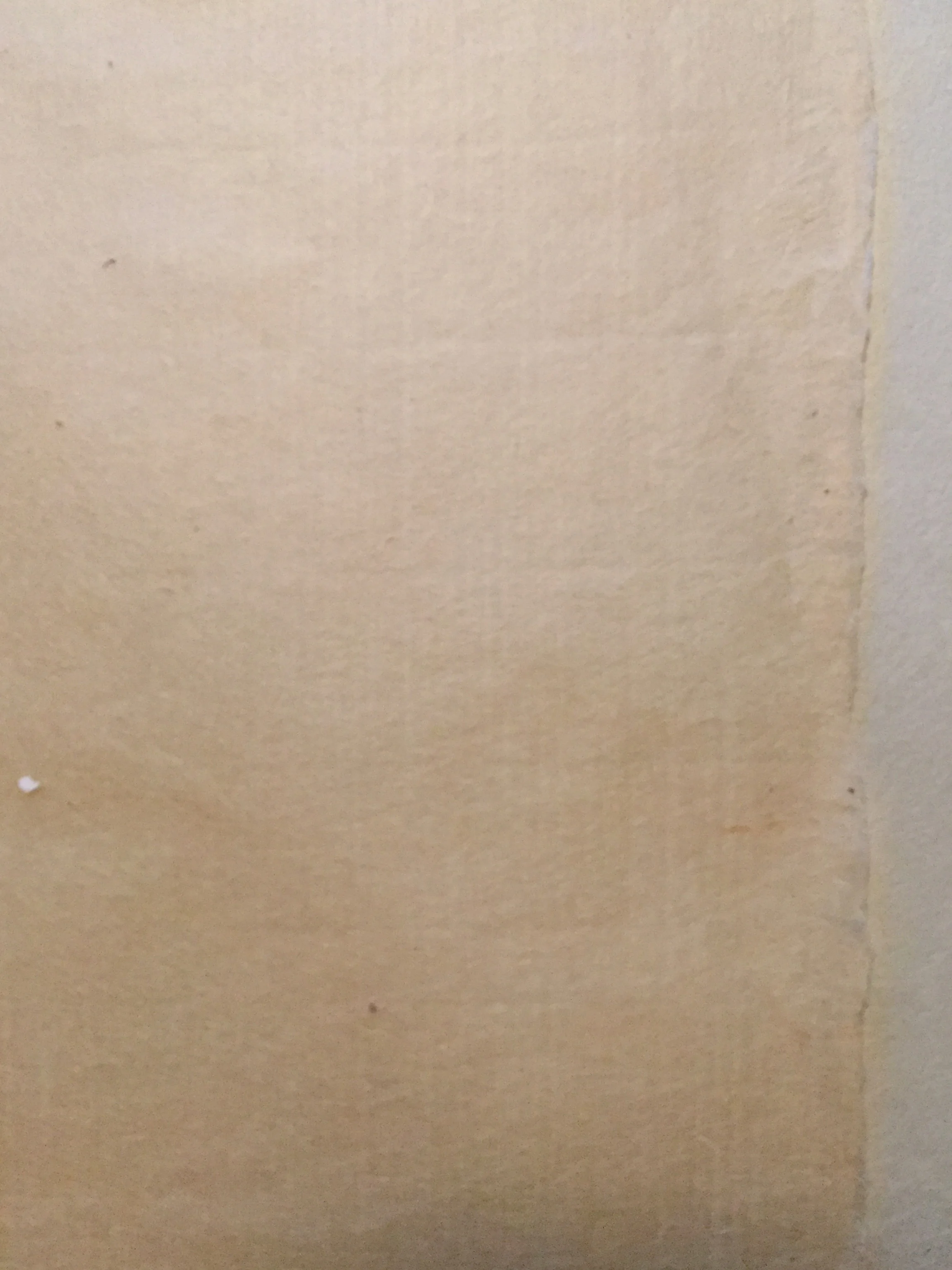 Natural Japanese Papers — Washi Arts