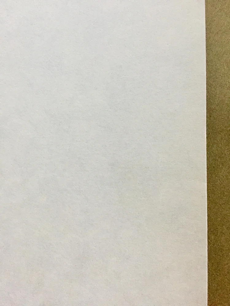 Ivory Paper Texture
