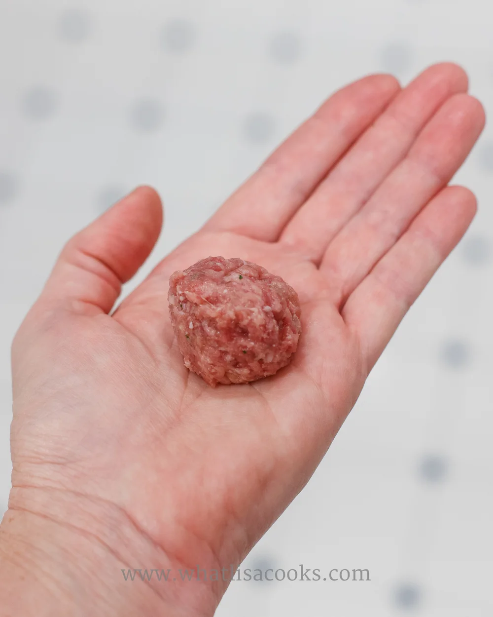 Meatballs for the family — What Lisa Cooks