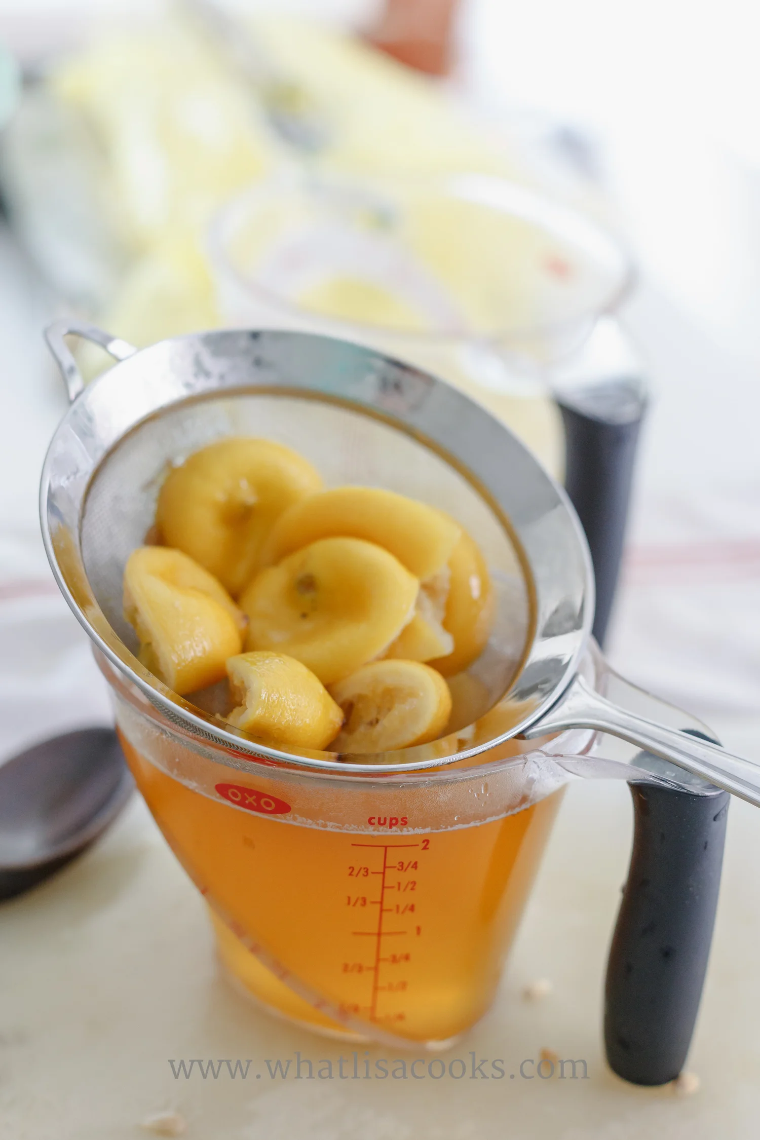 Homemade Honey Lemonade Recipe. And a Cocktail - Because You Earned It ...