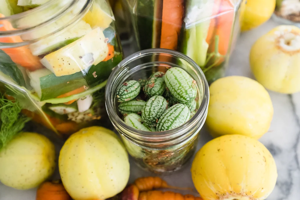 Easy Refrigerator Garden Pickles — What Lisa Cooks